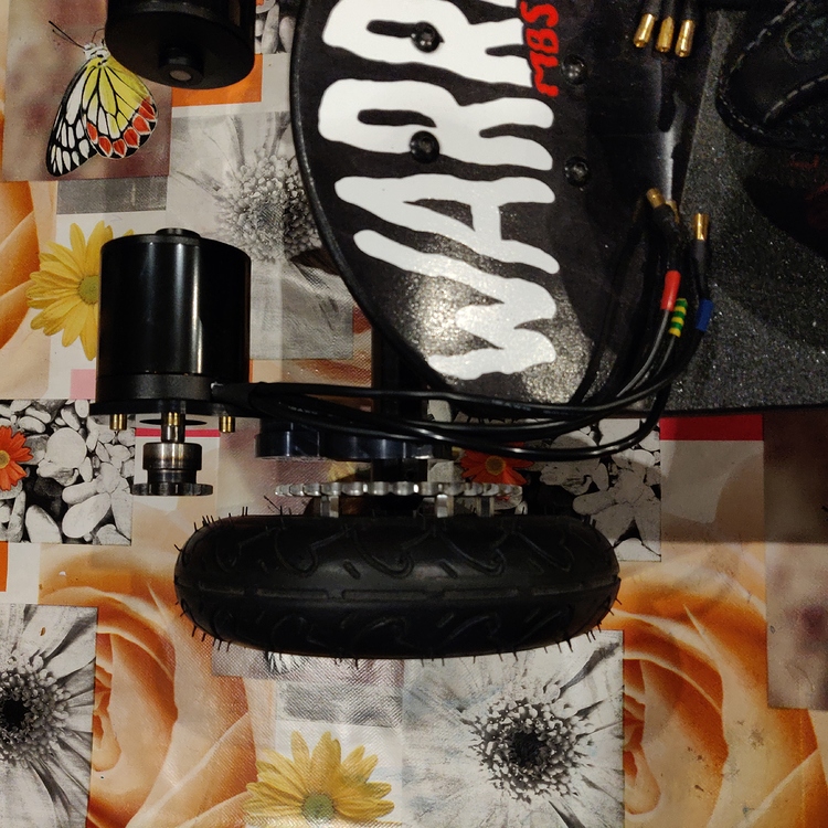 MBS Pro 97 2019 DWII | Trucks MBS Matrix 2 Metal | Motor mount ...